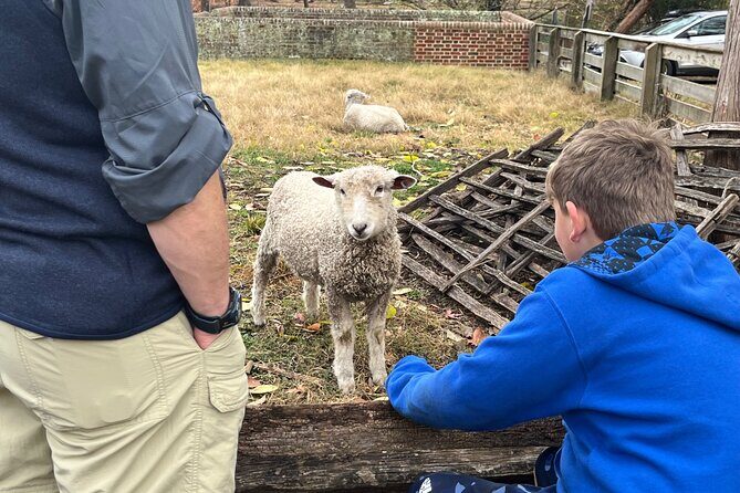 Exclusive Private Colonial Williamsburg Walking Tour by a Local - Why This Tour Excels