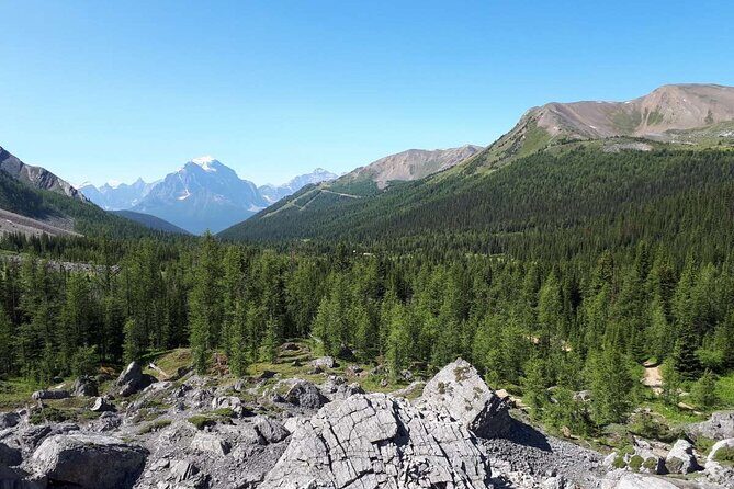 Exclusive Skoki Backcountry Guided Hiking in Lake Louise with Van Shuttle - Who Should Consider This Tour