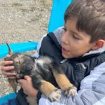Exclusive Yukon Full-Day Tour with Dog Mushing Adventure - The Itinerary Breakdown: What to Expect