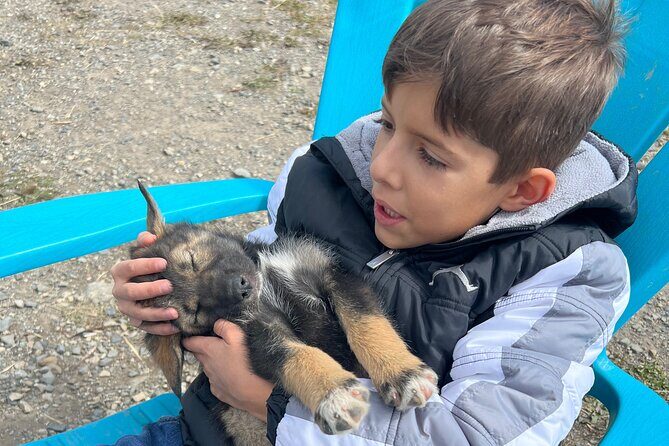 Exclusive Yukon Full-Day Tour with Dog Mushing Adventure - The Itinerary Breakdown: What to Expect
