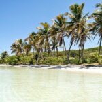 Excursion Isla Contoy & Isla Mujeres from Cancun - Who Would Enjoy This Tour?