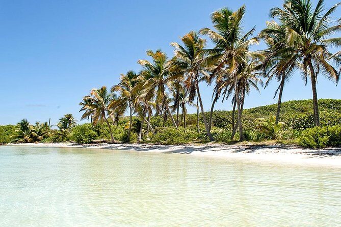 Excursion Isla Contoy & Isla Mujeres from Cancun - Who Would Enjoy This Tour?