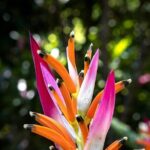Exotic Garden EN Rancho Ecoturístico - The Itinerary in Detail