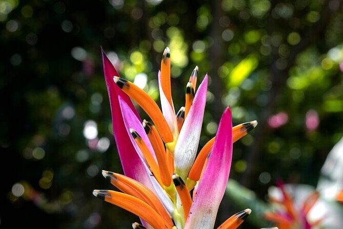 Exotic Garden EN Rancho Ecoturístico - The Itinerary in Detail