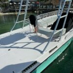 Experience Parasailing in Sarasota - Why We Love This Experience