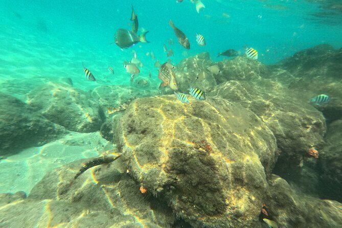 Experience Peanut Island Adventures with Go Pro - FAQ