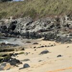 Experience the soul of Maui: Tours led by Maui's own! - Itinerary Breakdown