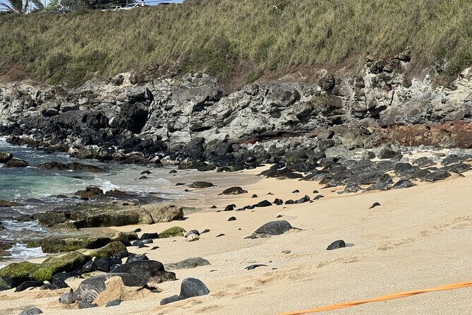 Experience the soul of Maui: Tours led by Maui's own! - Itinerary Breakdown