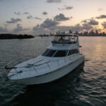 Experience the Ultimate Sunset Cruise on a 50ft yacht! - The Itinerary: What You Can Expect