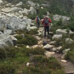 Explore Coastal Mountain Treasures: Scenic Hike from Squamish, BC - What Travelers Can Expect