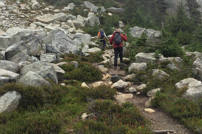 Explore Coastal Mountain Treasures: Scenic Hike from Squamish, BC - What Travelers Can Expect