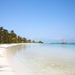 Explore Contoy Island - Practical Tips for Your Day
