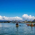 Explore Humboldt Bay by Kayak - Who Should Consider This Tour?