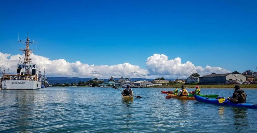 Explore Humboldt Bay by Kayak - Who Should Consider This Tour?