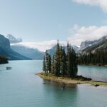 Explore Jasper Tour with Maligne Lake Cruise - Wildlife and Nature: A Constant Presence
