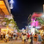 Explore Mayan Ruins Tulum & Coba, a cenote & Playa del Carmen - Who Should Consider This Tour?