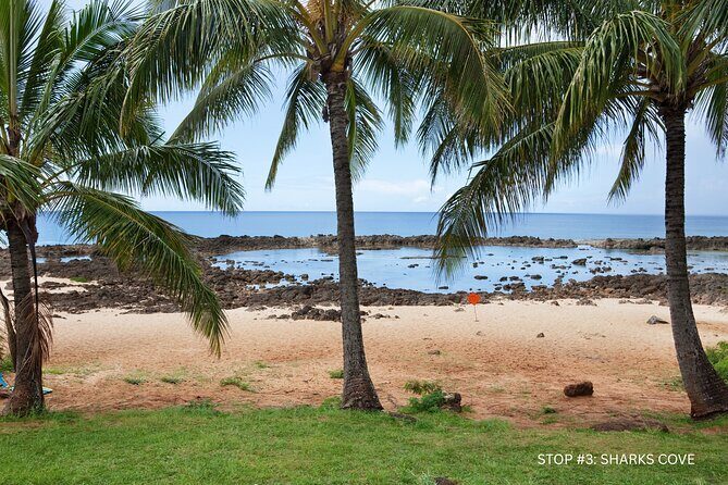 Explore North Shore Oahu by E-Bike & Snorkel (Self-Guided + Map) - A Closer Look at the Experience
