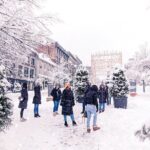Explore Old Montreal Small Group Walking Tour by MTL Detours - The Sum Up