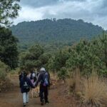Explore the Caves of an Inactive Volcano on CDMX - Who Should Book This Tour?