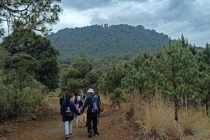 Explore the Caves of an Inactive Volcano on CDMX - Who Should Book This Tour?
