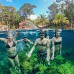 Explore Tulum and Swim in 4 cenotes (Casa Tortugas) from Tulum City - Authentic Experiences and Real Traveler Insights