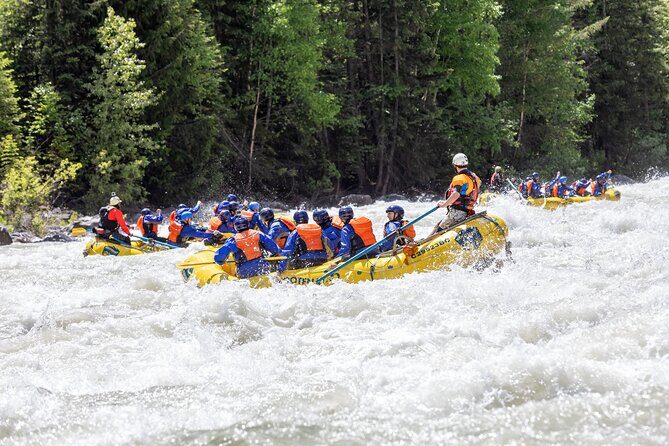 Extreme Whitewater Rafting on Kicking Horse River - Why This Tour Is a Solid Choice
