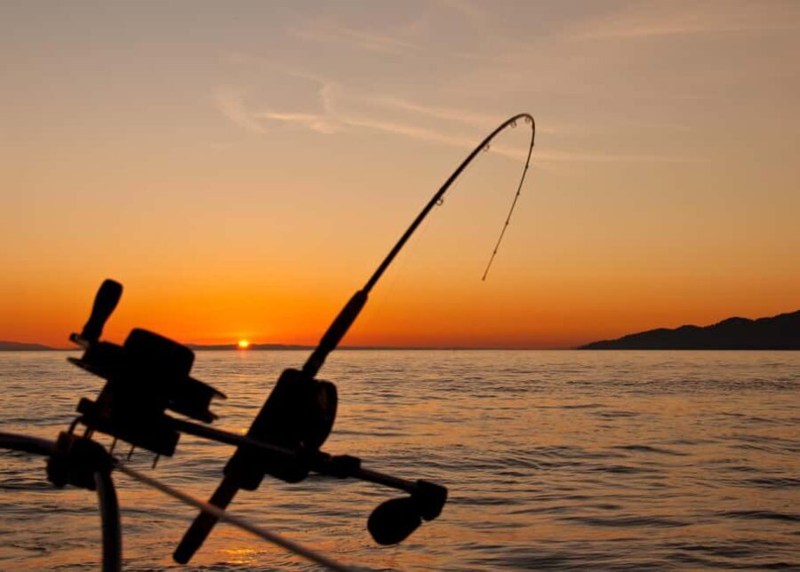 Fairbanks: Half-Day Fishing Trip with Hotel Pickup - Who Will Love This Experience?