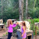 Fairbanks: Husky Hiking Tour - Final Thoughts