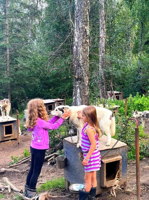 Fairbanks: Husky Hiking Tour - Final Thoughts