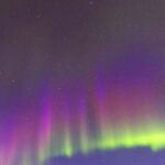 Fairbanks: Moonlight Dog Sled, Dinner & Northern Lights - The Value of This Experience