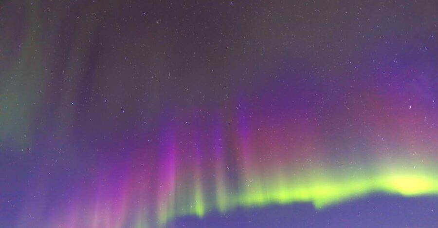 Fairbanks: Moonlight Dog Sled, Dinner & Northern Lights - The Value of This Experience