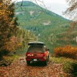 Fall Adventure Vancouver Island Grizzly Bears, High Tea and More - Why This Tour Works for You