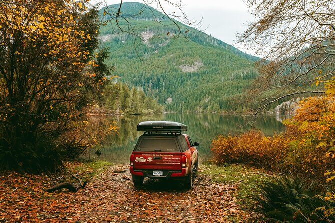 Fall Adventure Vancouver Island Grizzly Bears, High Tea and More - Why This Tour Works for You