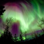 Fall Color Tour in Yukon from Whitehorse - Practical Insights on Value and Experience