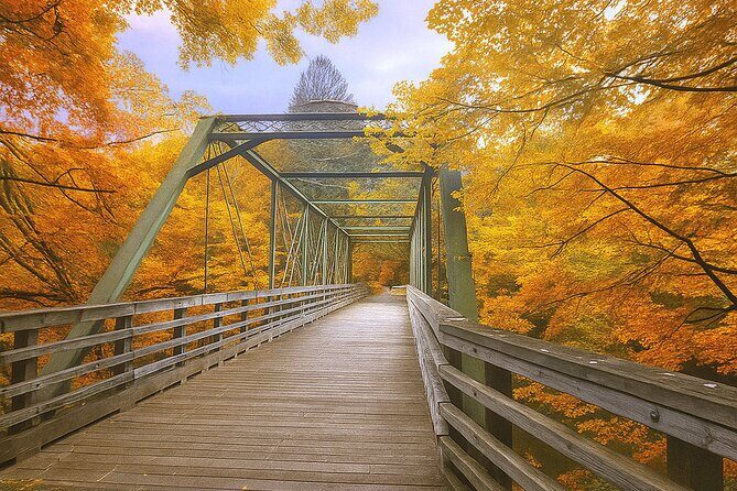 Fall Foliage Scenic Day Trip to Vermont and Western MA with Stops - Who is This Tour Best For?
