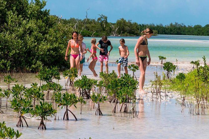 Fall in love with the Holbox island tour, Punta Mosquito & lunch. - Why This Tour Appeals to Travelers