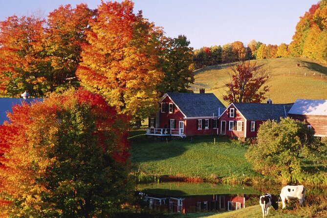 Fall Season, Vermont Maple Fall Foliage 2-Day Tour from New York - Practical Aspects & Value