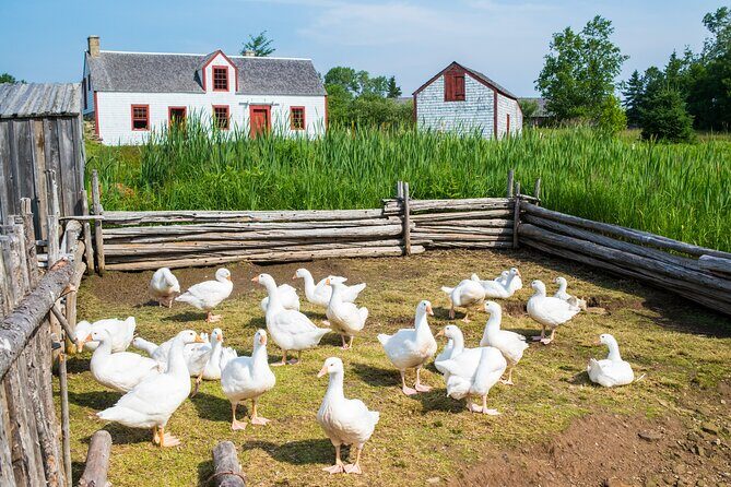 Family visit to the Acadian Historic Village - Practical Details and Visitor Experience