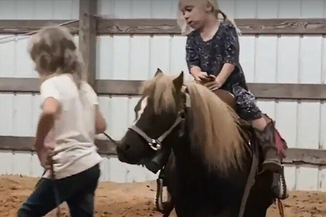 Farm Adventure Experience in Red Hill Ranch - What We Loved About This Experience