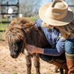 Farm Day Pass General Admission - Who Will Enjoy This Experience Most?