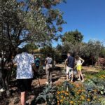 Farm to Table Cooking Experience in San Miguel - Who Will Love This Tour?