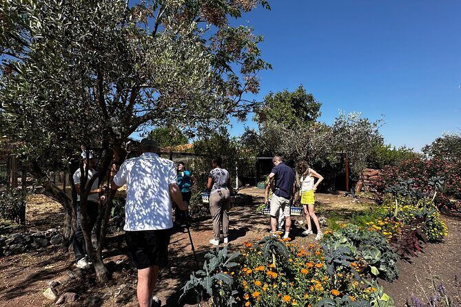 Farm to Table Cooking Experience in San Miguel - Who Will Love This Tour?