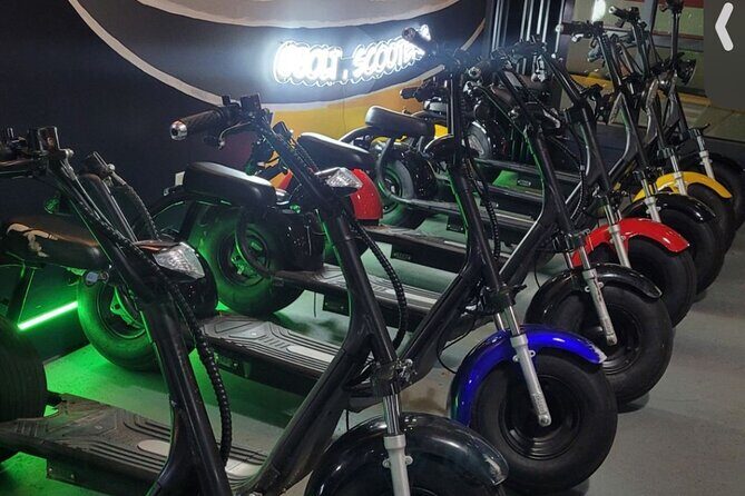 Fat Tire 2 Seater Rental in Houston - The Booking and Pricing