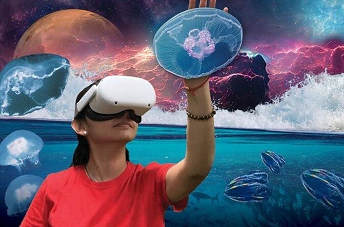 Field Museum Basic Admission Ticket Plus VR Experience - Detailed Breakdown of the Exhibits & Experience