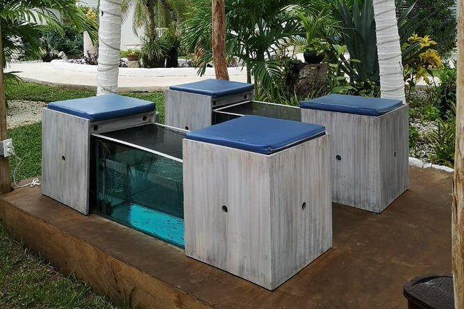 Fish Spa, Beach Break with Lounge Chairs, Umbrellas & Beach Area - Who Should Consider This?