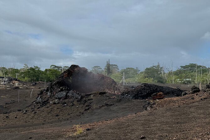 Fissure 8 Tour - Volcanoes National Park and Hilo Discovery - An In-Depth Look at the Tour Experience
