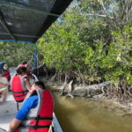 Flamingo tour Rio Lagartos, Yucatan 2 hours - A Walkthrough of the Itinerary