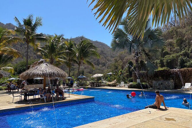 Flavors of Vallarta: A Churro, Tequila & Taco Adventure - The Itinerary in Detail