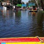 Floating Flower Gardens Of Xochimilco with a Local: Private & Personalized - Final Thoughts: Who Will Love This Tour?
