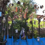 "Floating Party in Xochimilco: Canals, Tequila, and Tradition" - What Makes This Tour Stand Out?